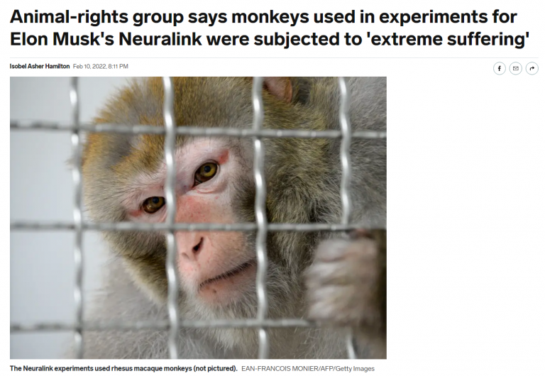 Neuralink Animal Testing – Latest Progress and Challenges - HashDork